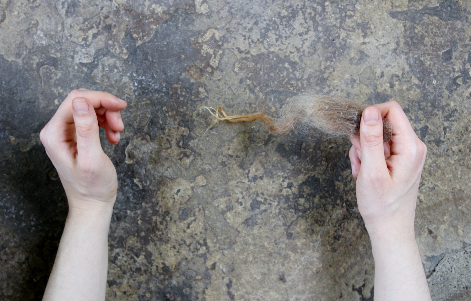 Separating a Dual-Coated Fleece Using Only Your Hands – PLY Magazine