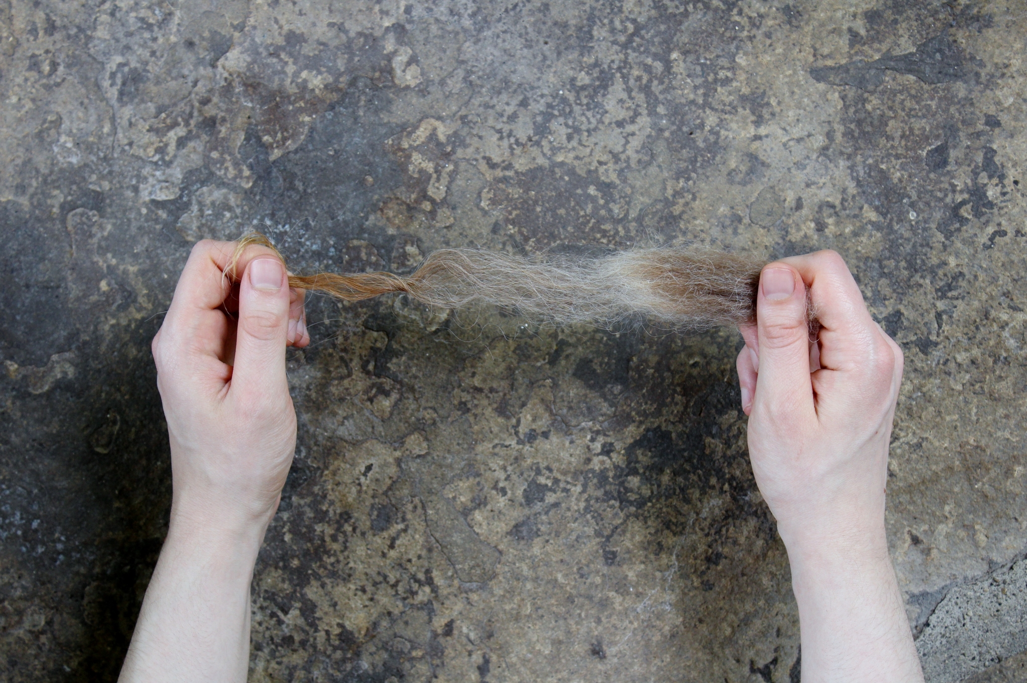 Separating a Dual-Coated Fleece Using Only Your Hands – PLY Magazine