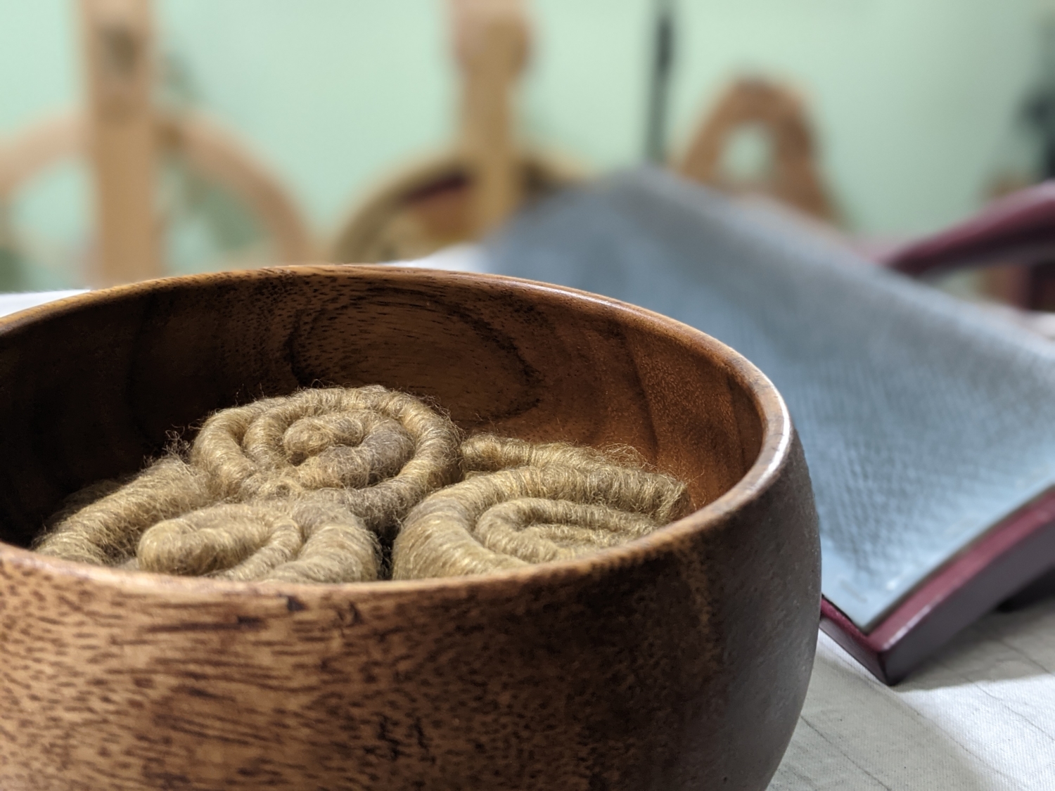 Dehairing Cashmere by Hand – PLY Magazine