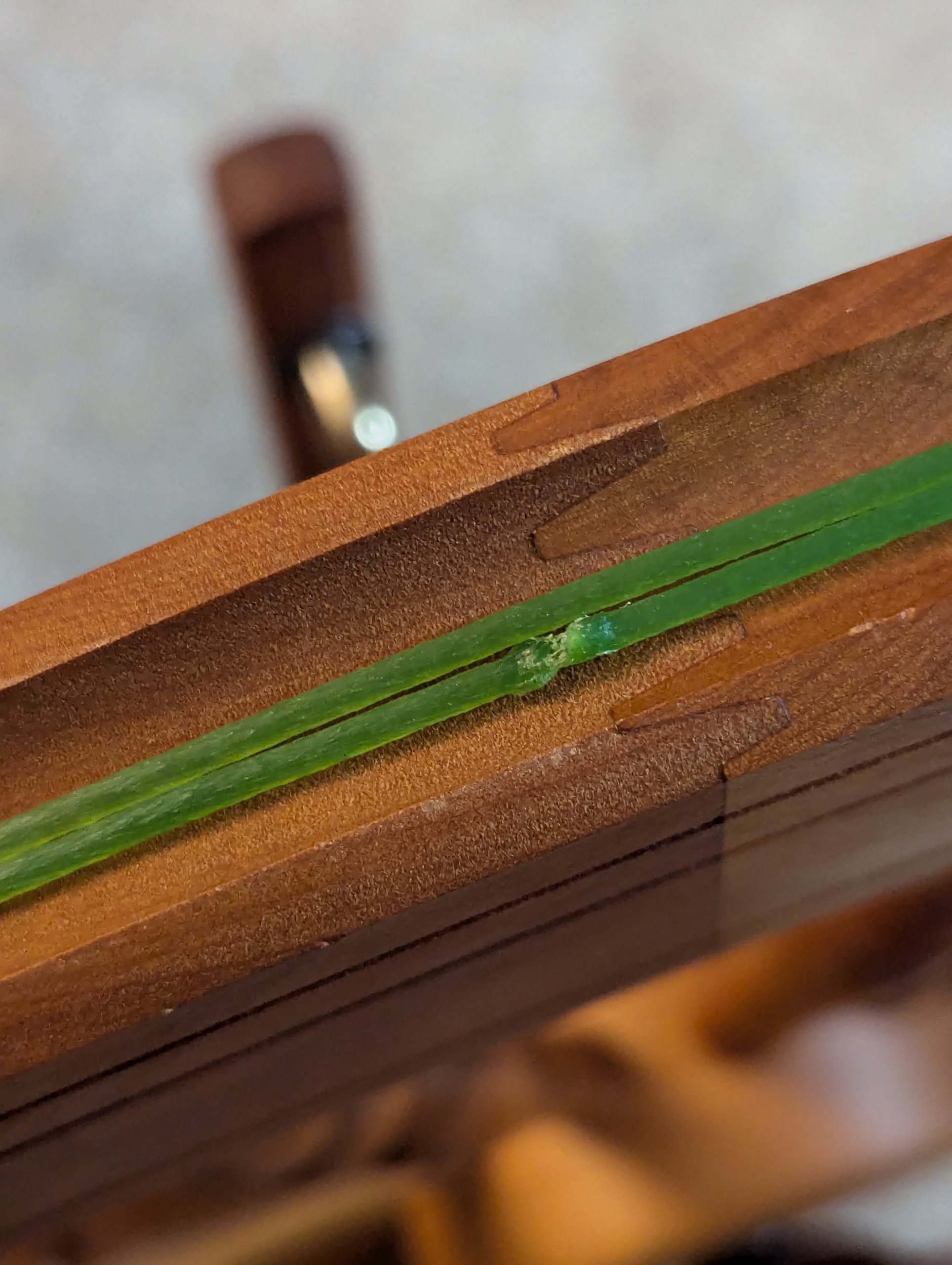 Swapping to a Polyurethane Drive Band – PLY Magazine